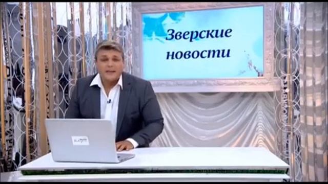 Звверские новости 23
