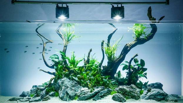 Освещение для аквариума своими руками Что лучше применять. Часть 2