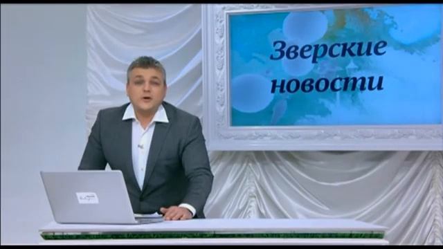 Осторожно! Дикие КРОЛИКИ! Зверские новости Xayc.TV №13