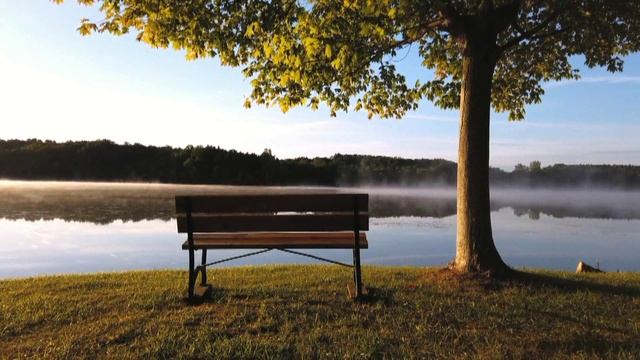 НАГРАжДАнке -Туман