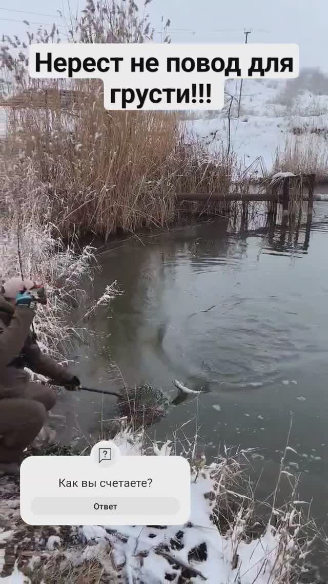 Клев бомба!!