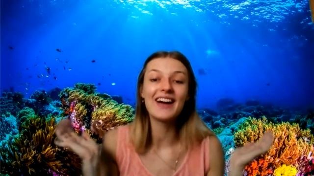 Sea animals song with Anglomama Club