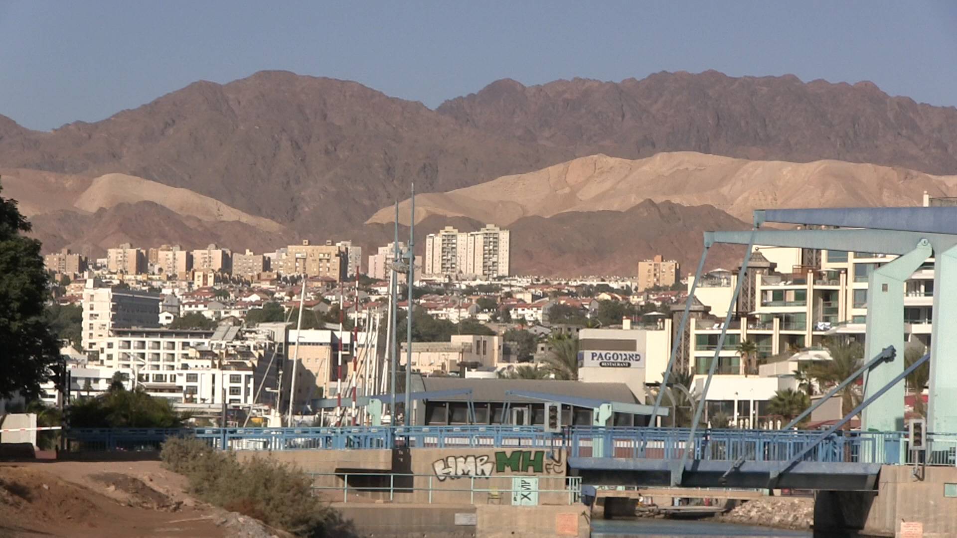 дельфиний риф