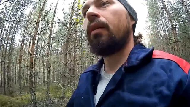 По Грибы Псковская Область - Август - 2018