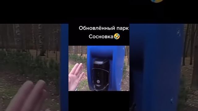 сосновка