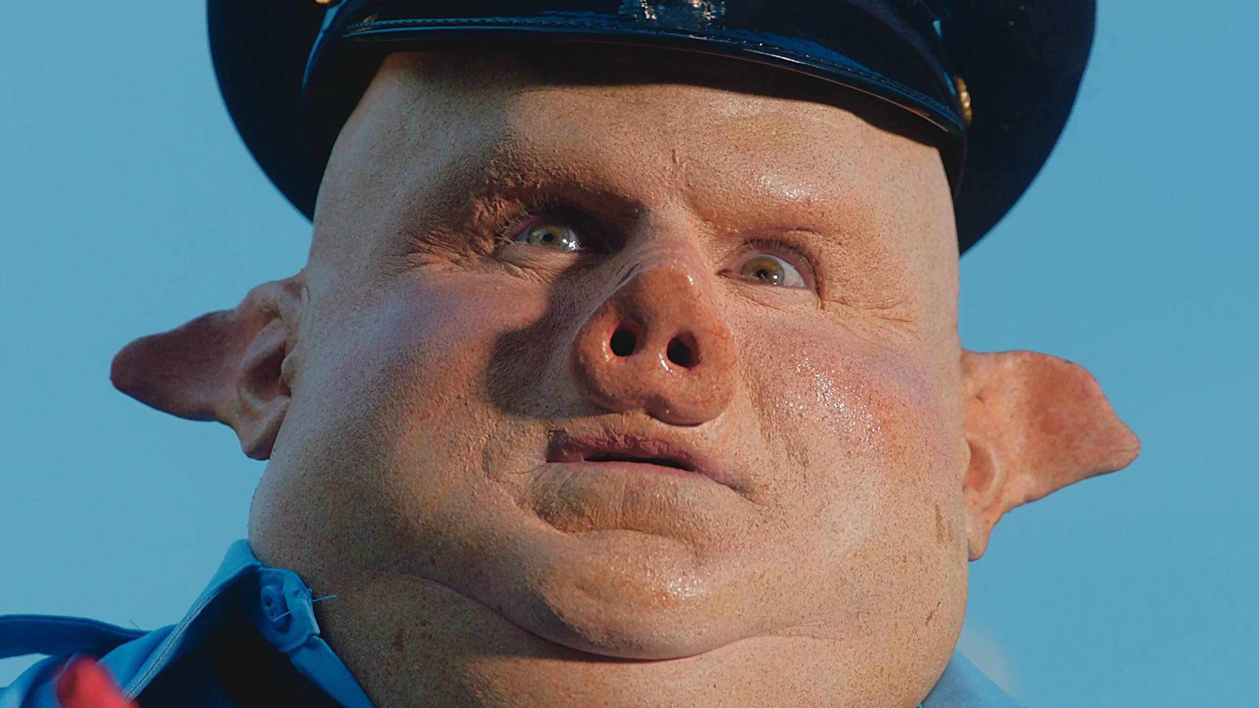 В какие счета предоставляли свои персональные данные?