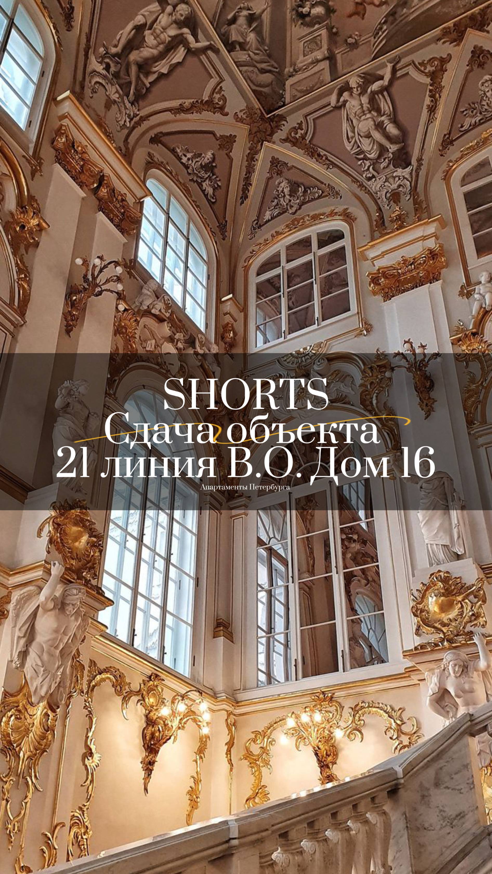 Открытие объекта 21 линия ВО дом 16 Shorts  #апартаменты #недвижимость #студия #realestate