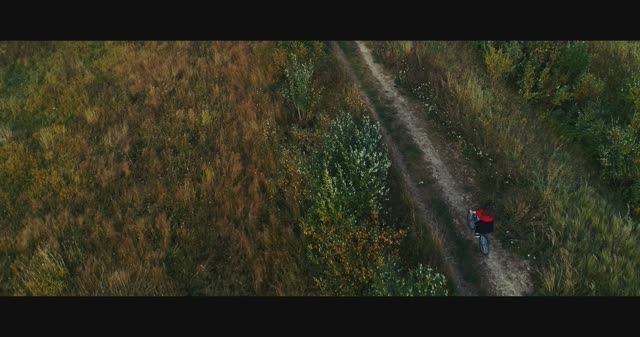 Дорога домой