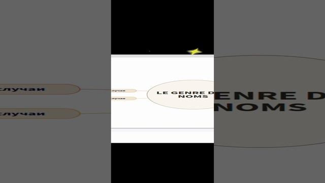 🇫🇷 Французская грамматика: как определить род существительных?