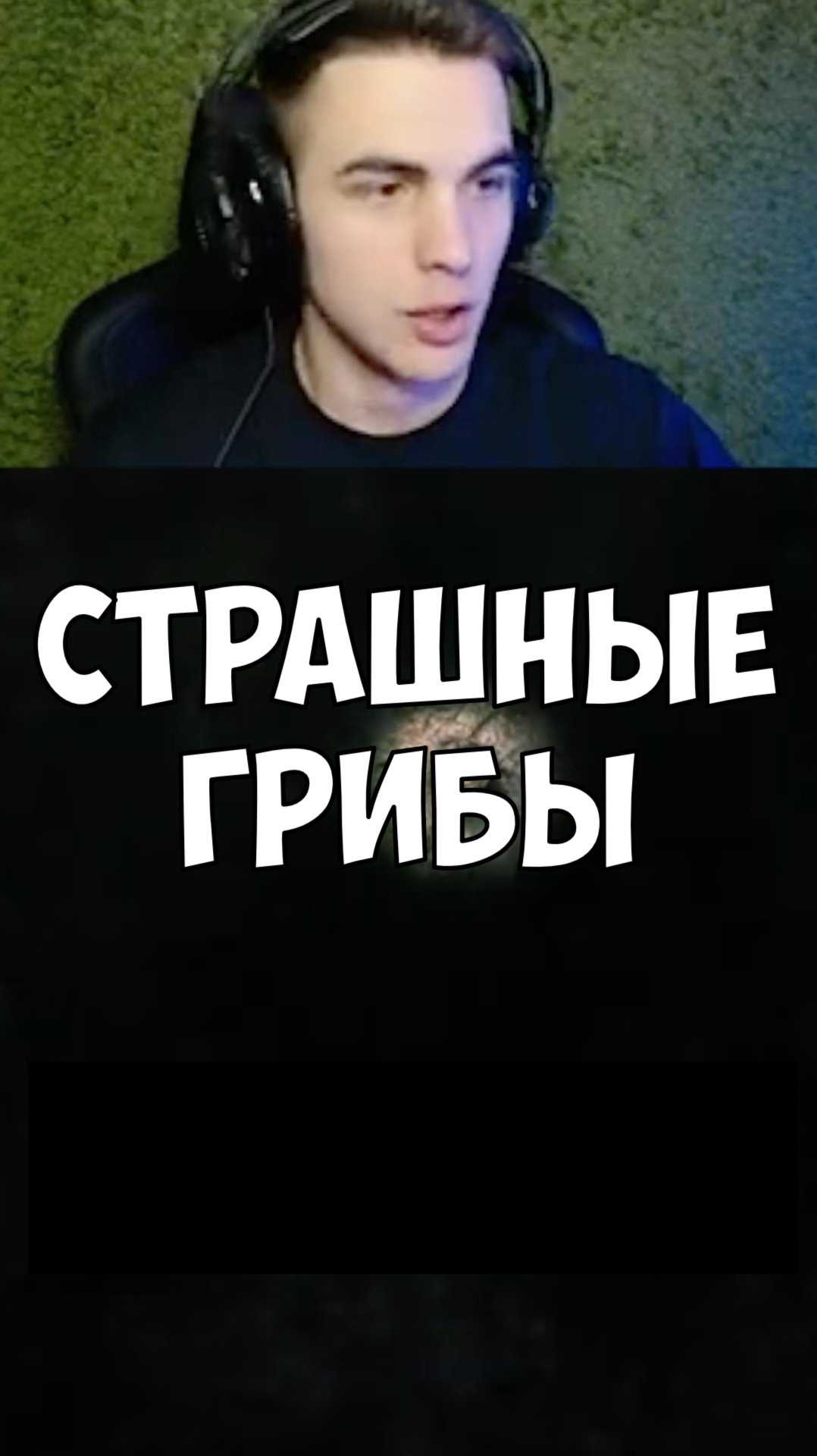 Подпишись на мой тг канал: SnerkInfo