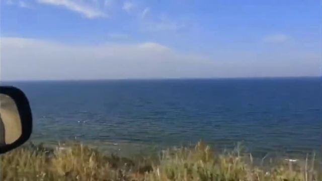 Реакция на Грязи. Кучугуры, Азов.