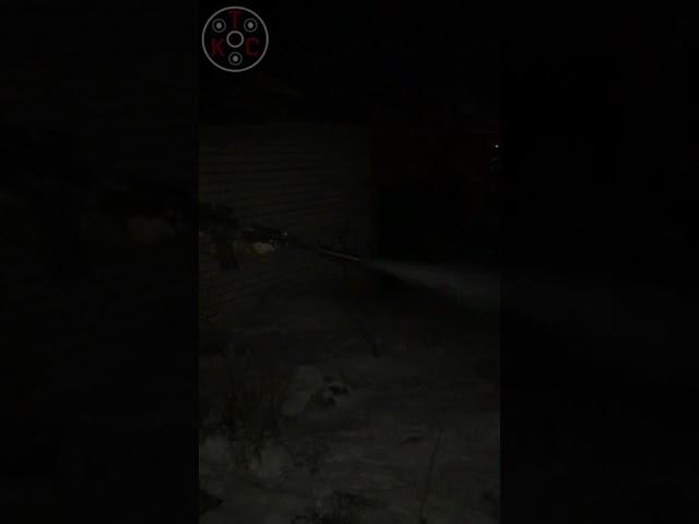 Отстрел АК-74 5,45 | Kowalski Team Custom