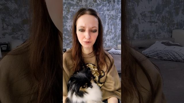 Паук-скакунчик