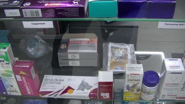 Ветаптека Бемби Январь 2025