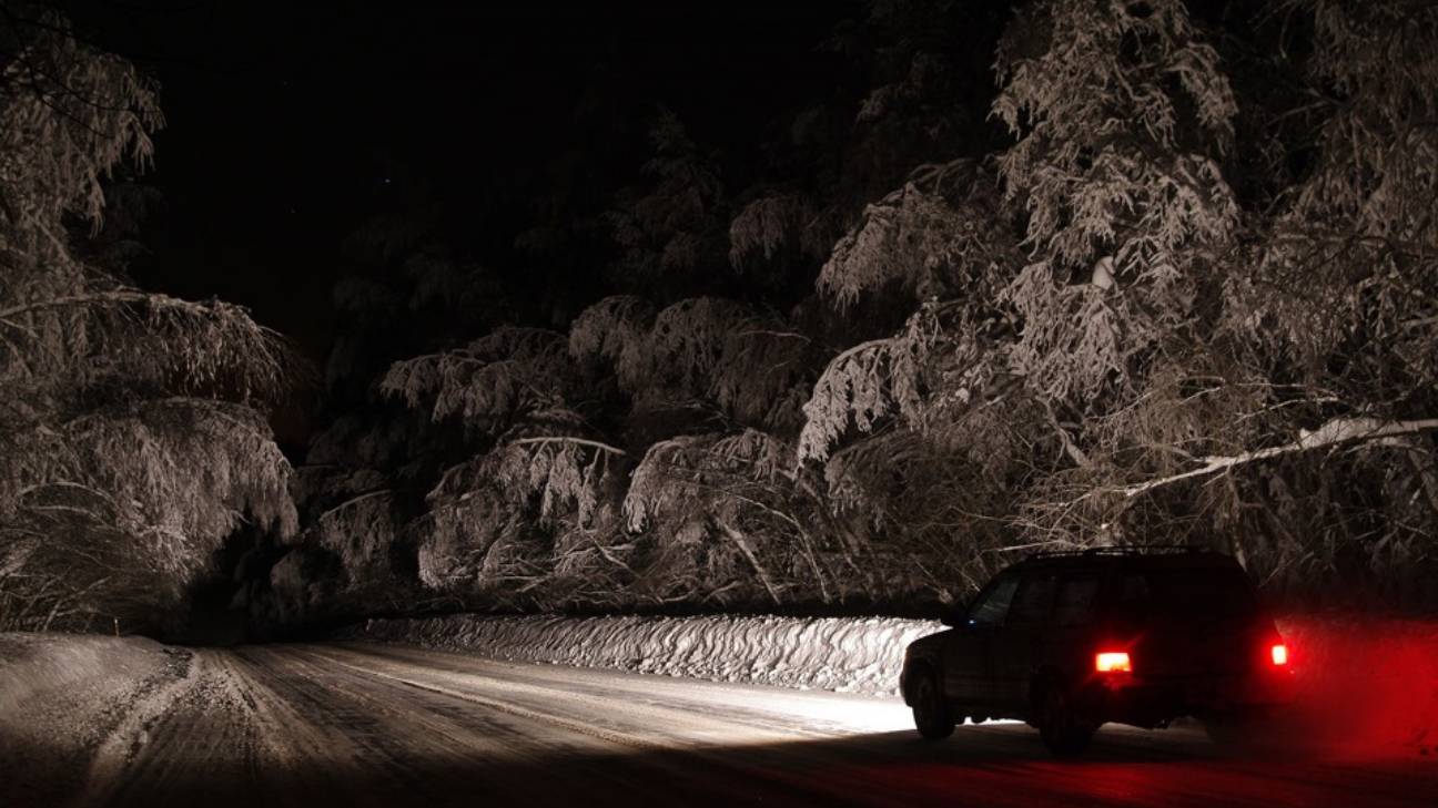 СРОЧНО В ТРАВМПУНКТ, ДОРОГУ НЕ ЧИСТИЛИ ДНЯ ТРИ.