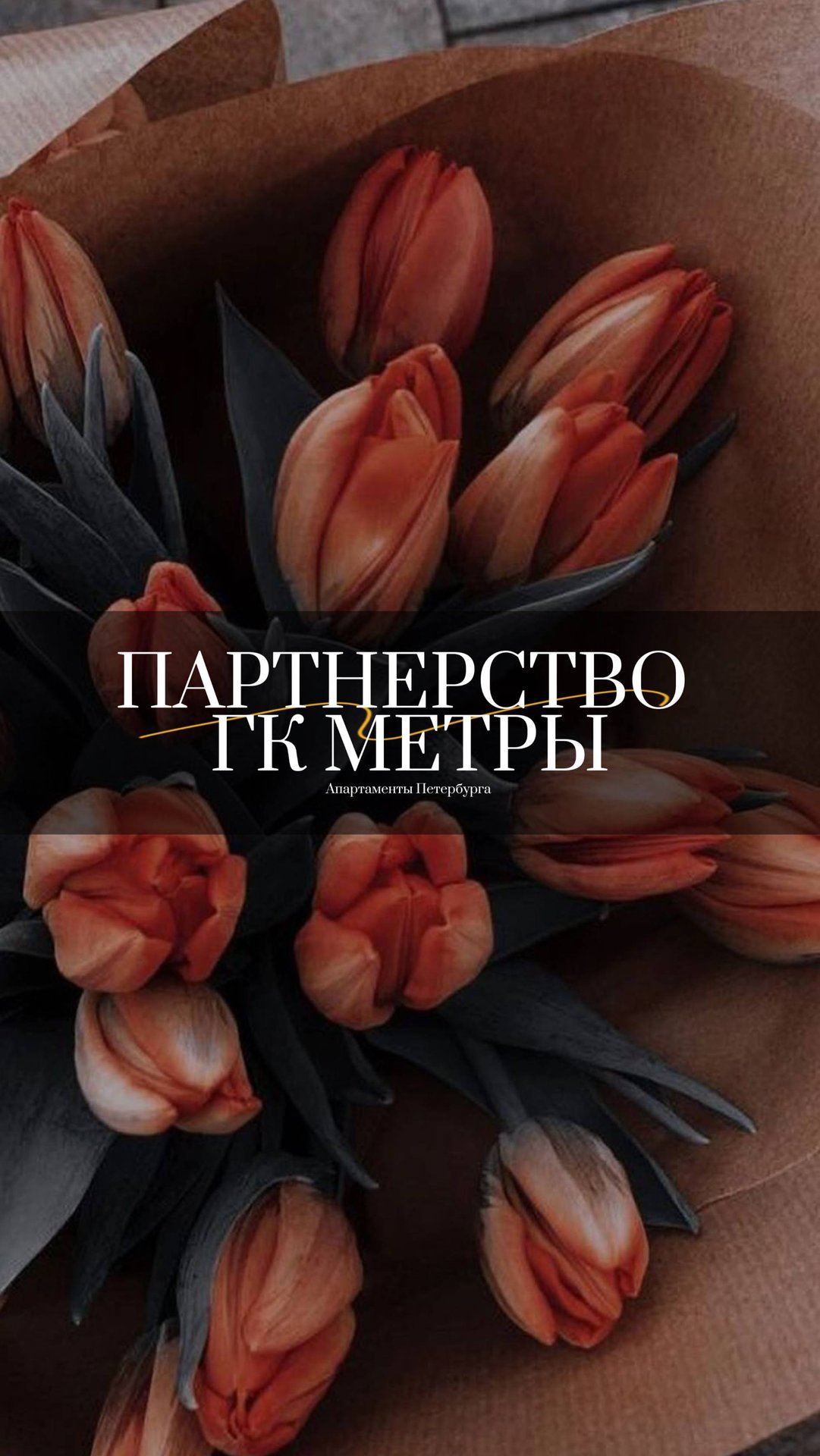 Студии в Санкт-Петербурге от компания ГК Метры и Апартаменты Петербурга Shorts