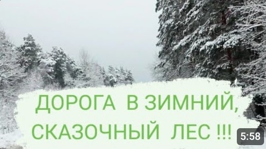 ДОРОГА В СКАЗОЧНЫЙ, ЗИМНИЙ ЛЕС❄❄🌲🌲