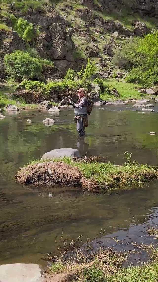 Иногда так хочется уехать за город, оставить лишние мысли позади и просто насладиться природой.