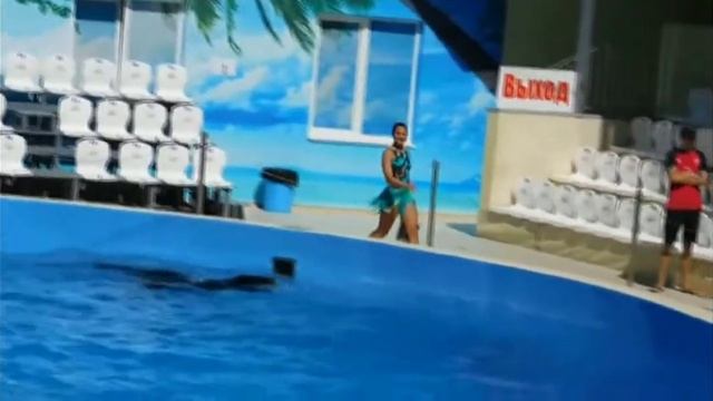 Реакция обзор на Анапский дельфинарий Немо.