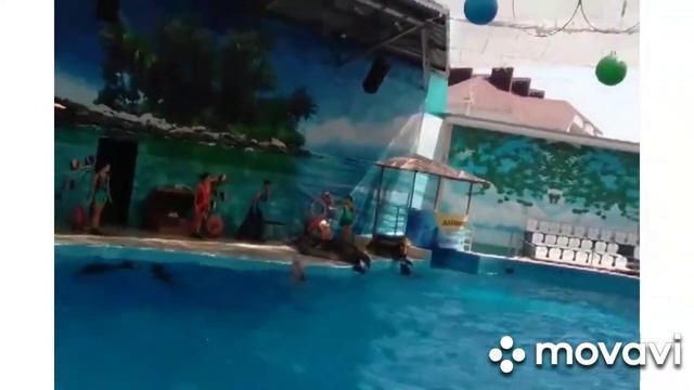 Шоу дельфинов в Анапском дельфинарии Нэмо.