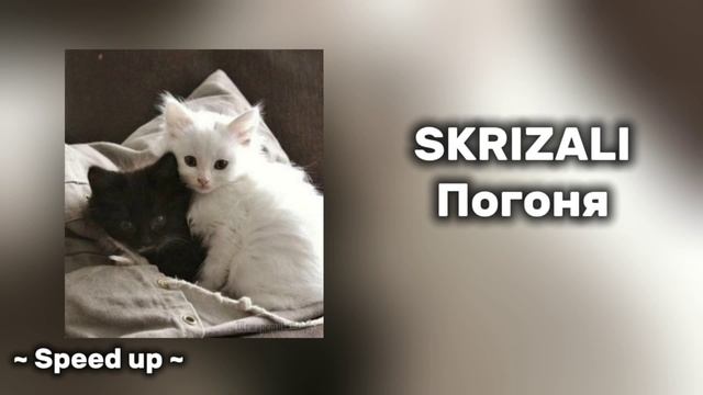 Погоня  speed up