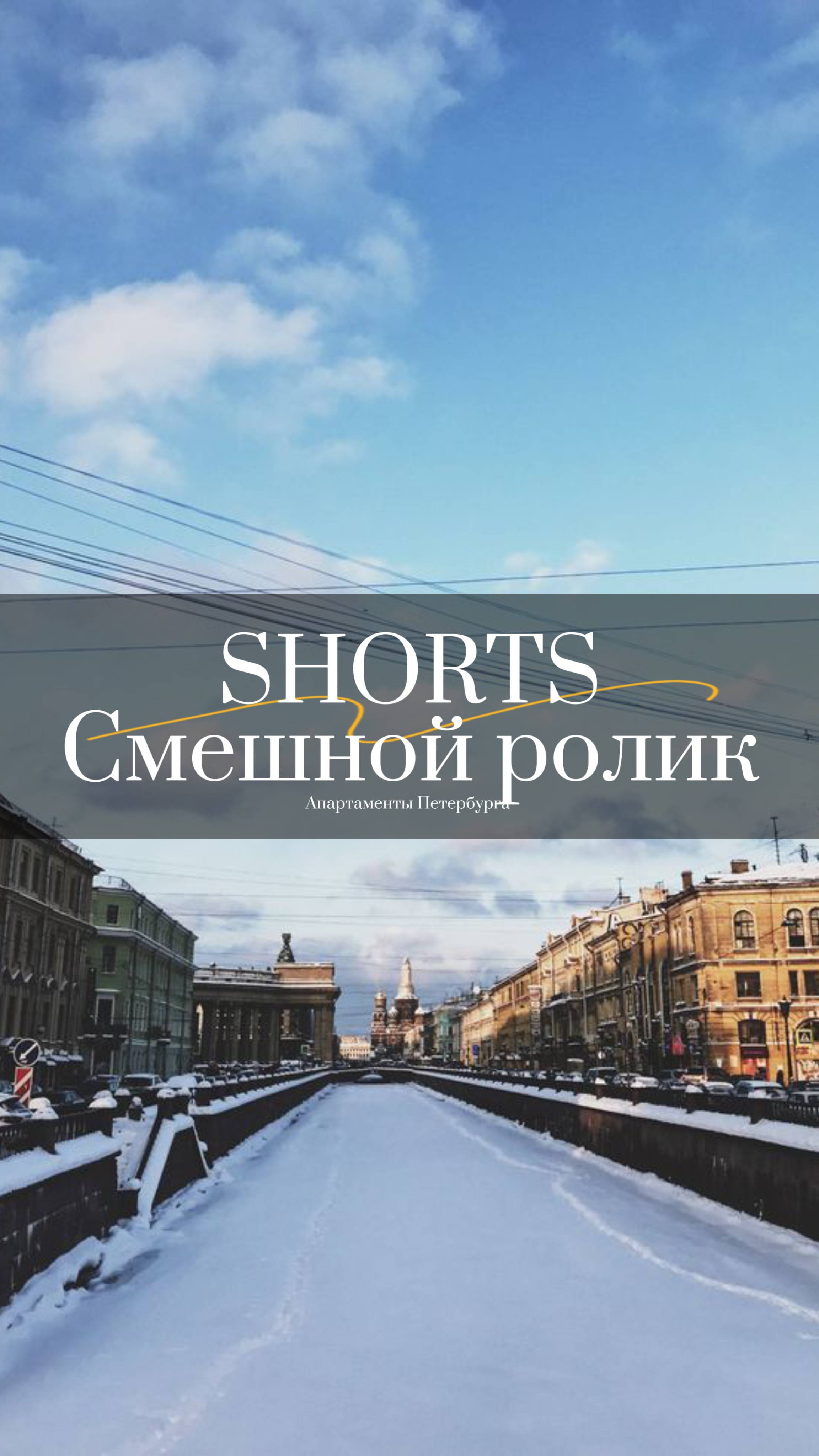 Апартаменты Петербурга Смешной ролик #доходнаянедвижимость #студия