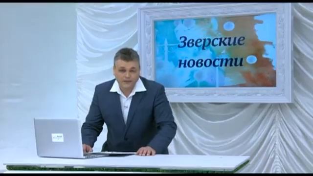 Кота не пускают домой. Зверские новости Xayc.TV №11