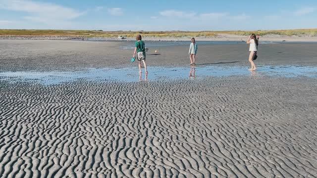 Север-2024. 13. Рыбачий, черный пляж