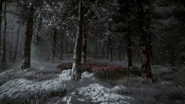 Зимний лес, где во время зимней бури и снегопада бродят дикие животные