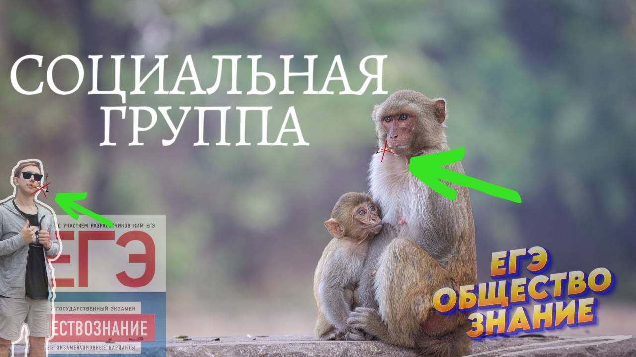 КАК ТВОЙ ДРУЗЬЯ ВЛИЯЮТ НА ТВОЮ ЖИЗНЬ?. Решаем сложные задания #19 l ЕГЭ ОБЩЕСТВОЗНАНИЕ