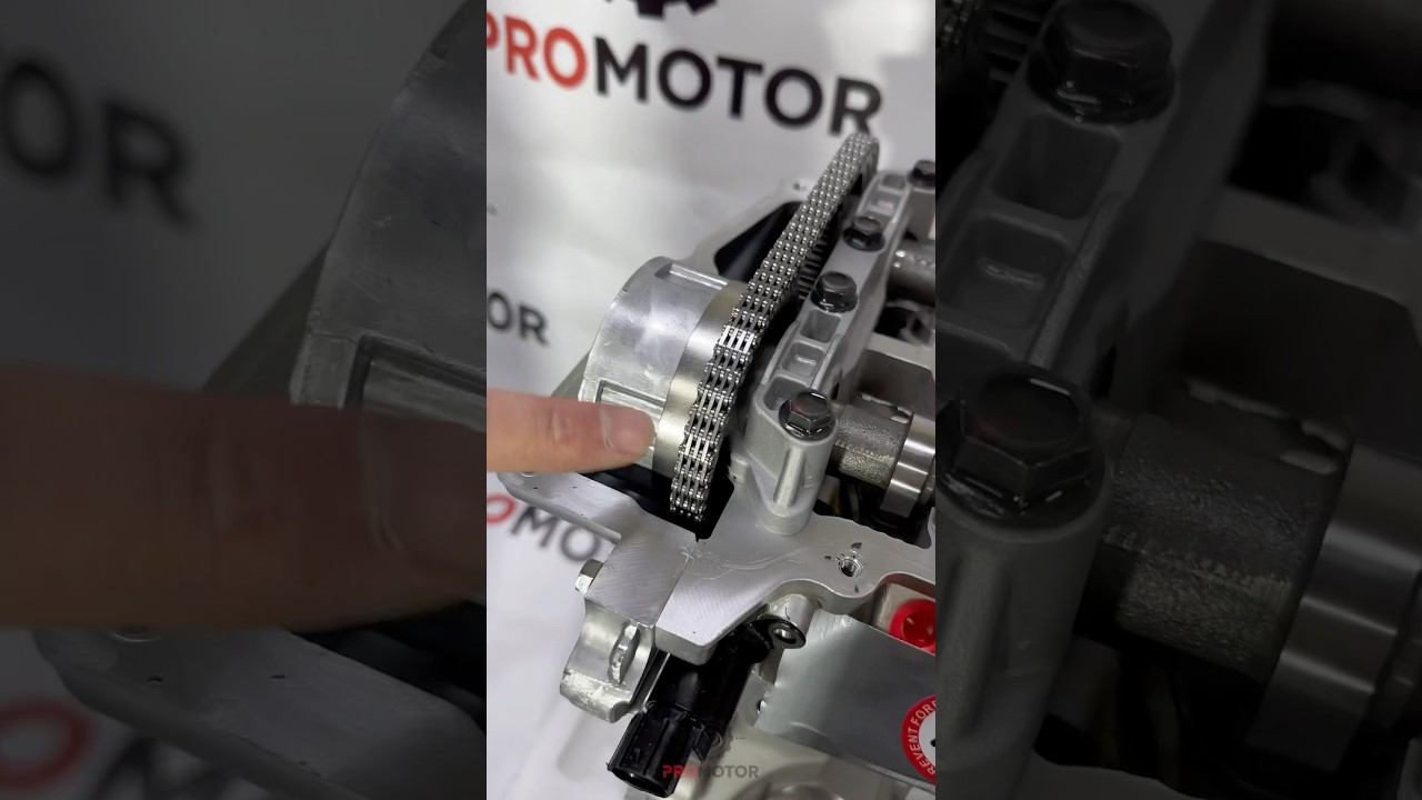 Оригинальная цепь на новом двигателе от PROMOTOR