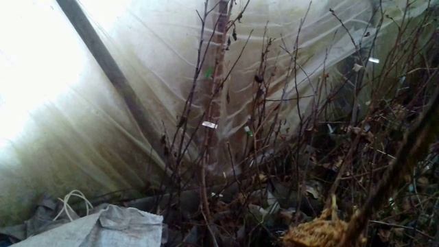 Самая радикальная проверка подвоя на выживание. Мороз минус 27 градусов. часть 1.