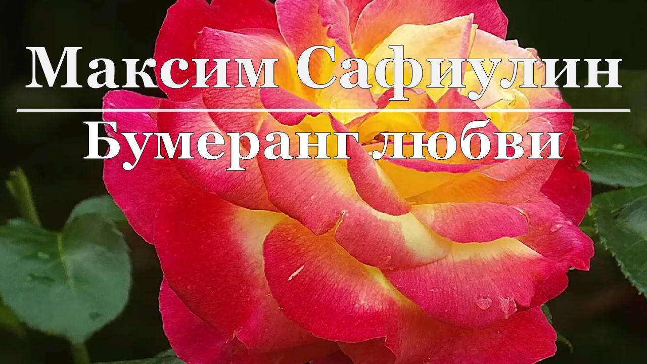 Максим Сафиулин - Бумеранг любви