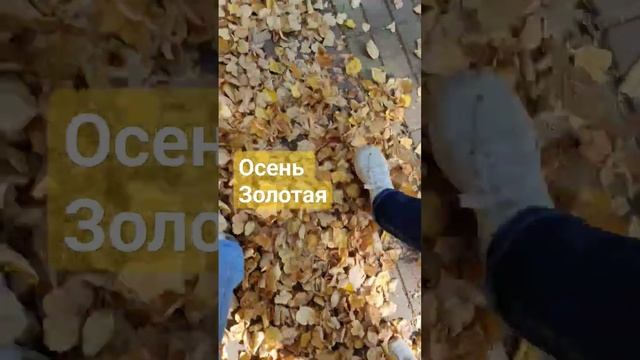 30 сентября 2023 г.