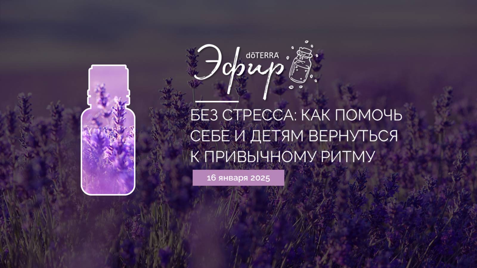 "Без стресса: как помочь себе и детям вернуться к привычному ритму" (16.01.2026)