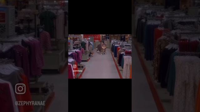 мяу мяу мяу мяу мяу