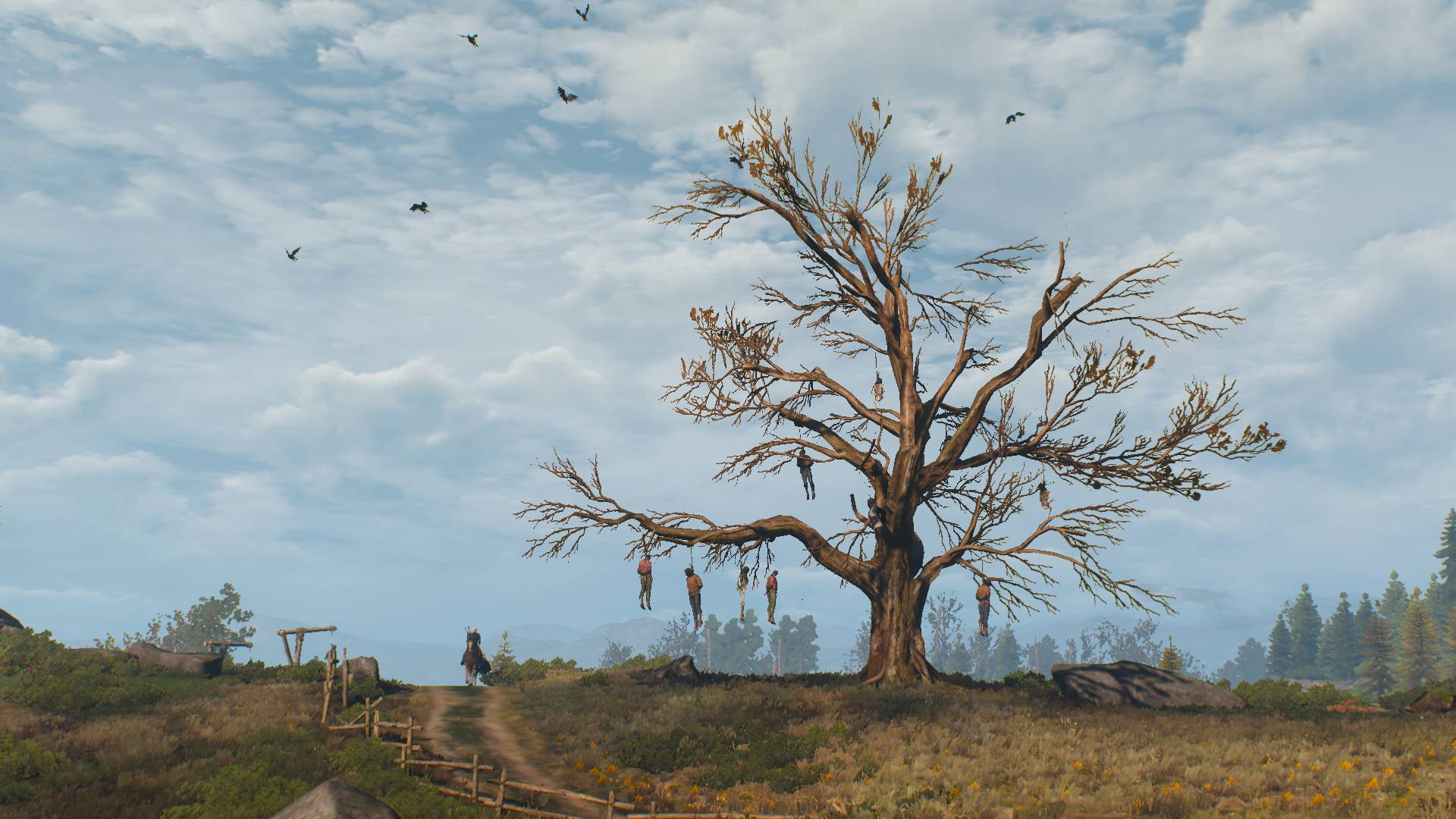 Отправка в Велен и начало поисков Цири. Ведьмак 3: Дикая Охота (серия №4)