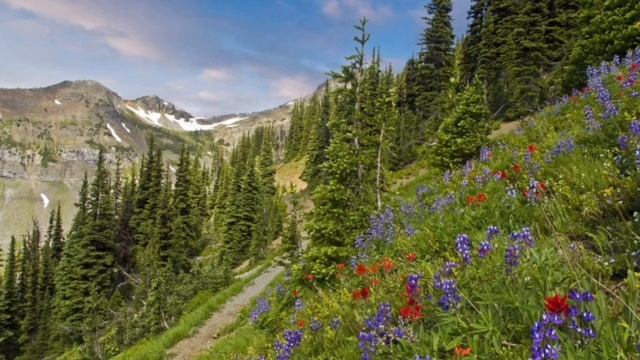 Деревенский колдун Иван (часть 2)