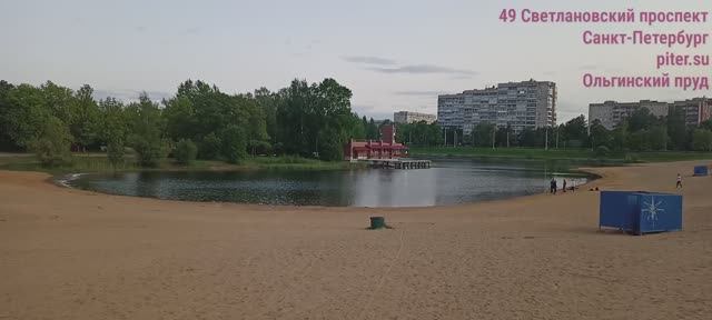 Ольгинский пруд Санкт Петербург Выборгский район #пруд #санктпетербург #спб piter.su