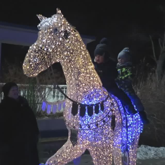 Волшебный Конь в доспехах