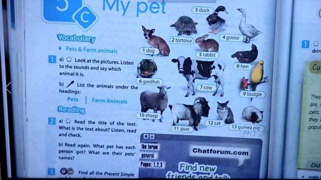 5 класс Английский в фокусе  Модуль 5, 6 стр. 75,70,68 Домашние питомцы Зоопарк Рассказ Описание