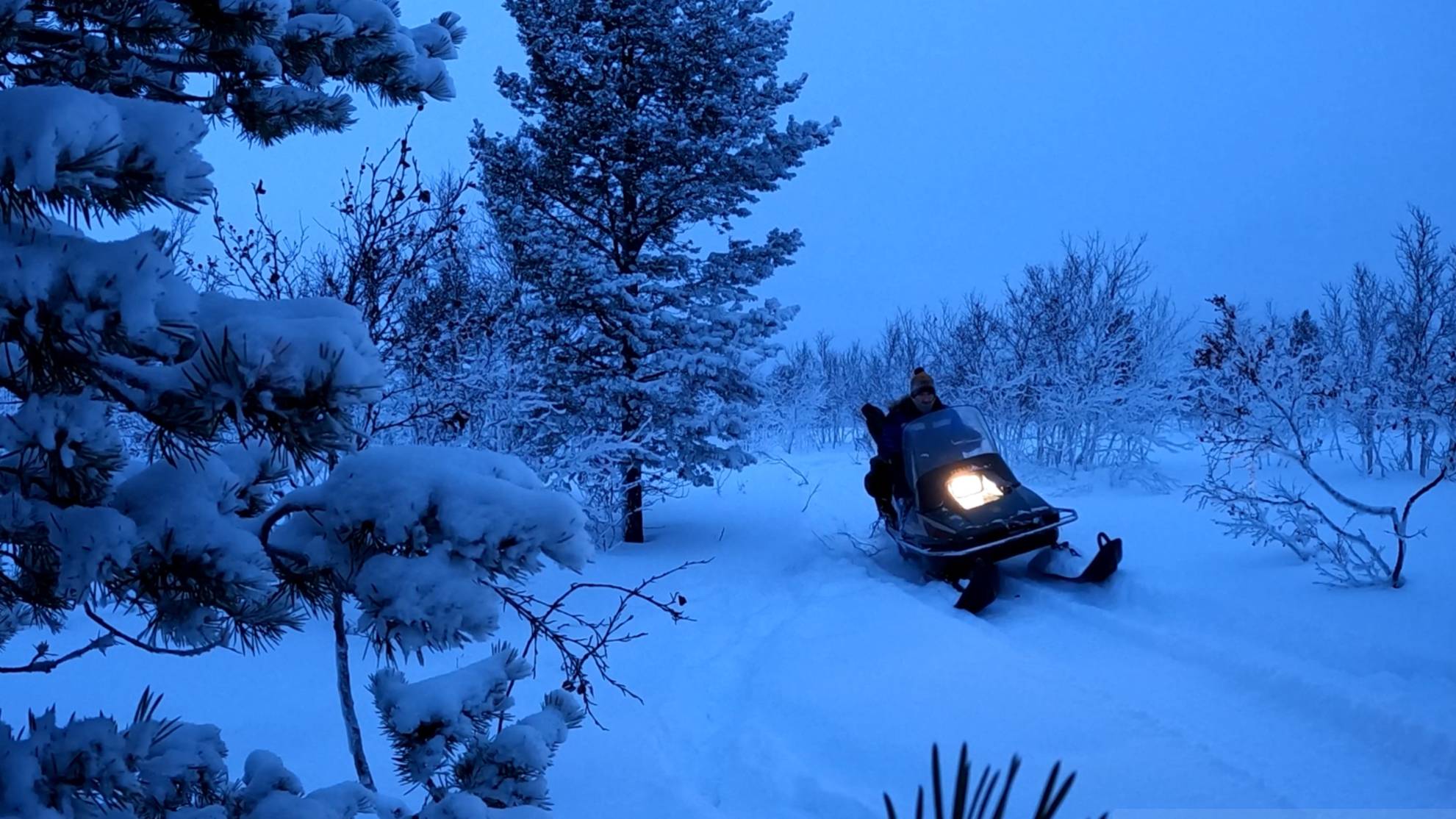 5 ЯНВАРЯ  2025 года.Первая рыбалка 2025 года. Форель на удочку и налим.