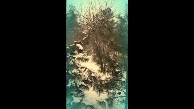 Крещенский снег над донской столицей