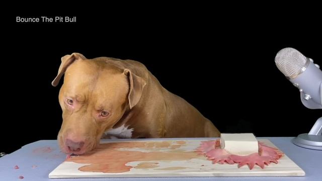 АСМР СОБАЧИЙ МУКБАНГ