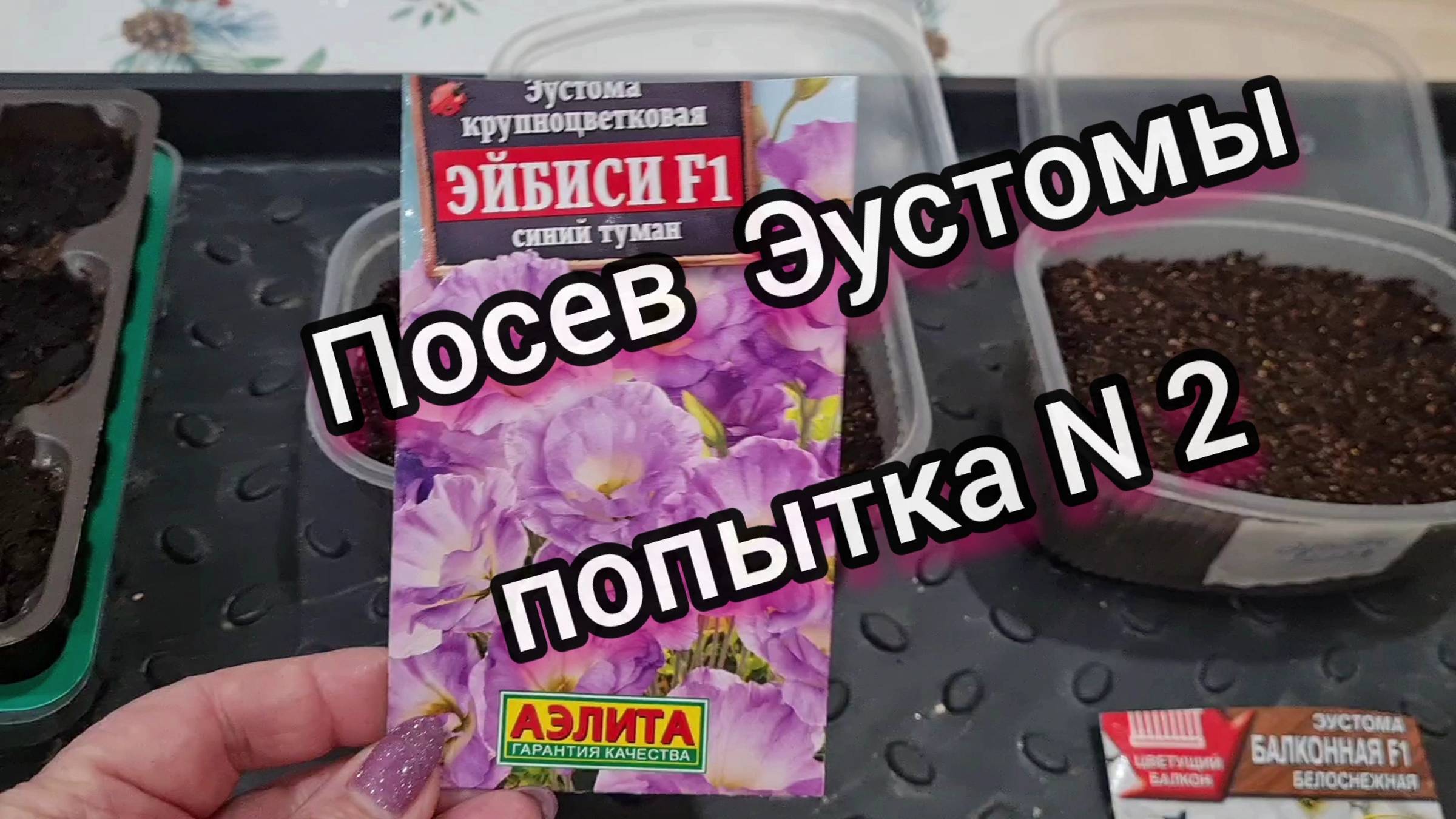 Домашнее видео! Посев Эустомы, попытка № 2. Декор на камине, подарили красивую свечу.