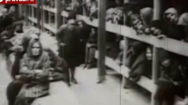 ЦЭВД Пажга Воробьёв