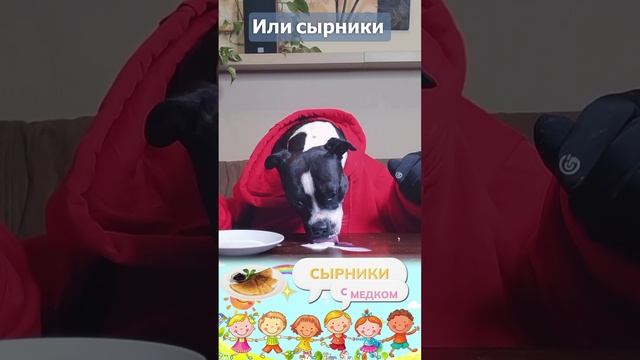 Ложечку за маму 🍽️ #стаффи #кефир #полезный #бутылка #молочка #еда #блинчики #сырники #плюшки