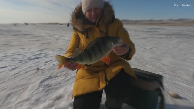 Окуневая рыбалка! Или чей ОКУНЬ больше?!