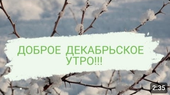 ДОБРОЕ ДЕКАБРЬСКОЕ УТРО!!! МОРОЗ И СОЛНЦЕ❄🌞