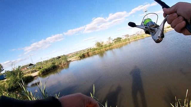 Зачетный карп на поплавок. Рыбалка в Новосибирске!